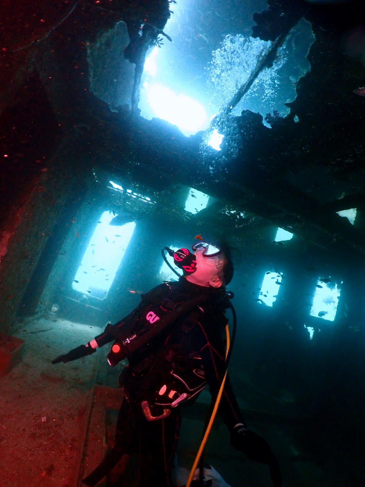ダイバーズベイ | 南紀白浜旅先納税 Yanico（ヤニコ）/ 和歌山県白浜町